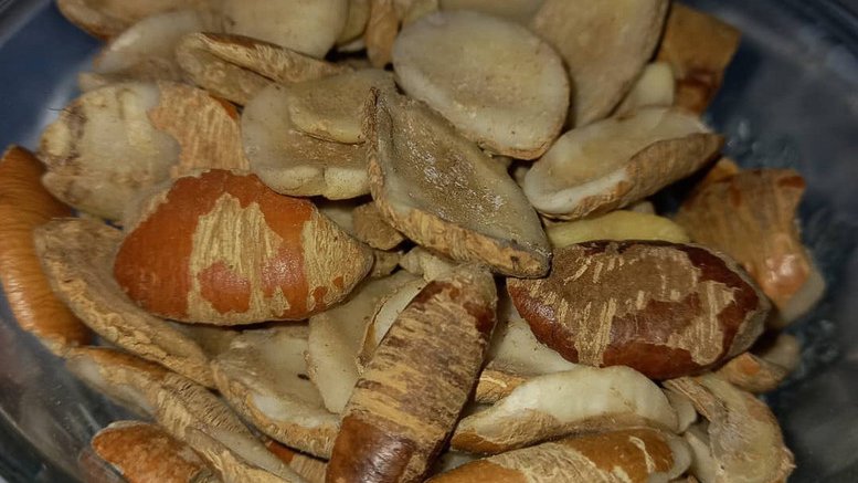 Ogbono Seeds: A Quick Guide - Verayea