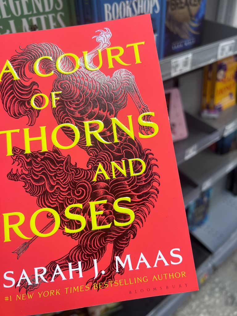 A Court of Thorns and Roses by Sarah J. Maas Book Review - Verayea