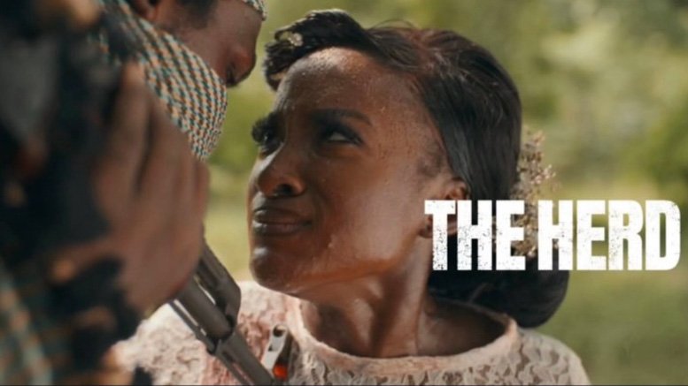 The Herd (2025): Nollywood’s Bold Look at Nigeria’s Uncomfortable ...
